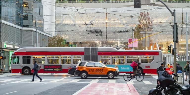 The Evolution of Public Transport Systems